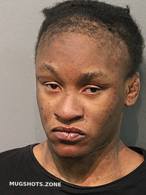 PARIS S YOUNG 04/21/2025 - Chicago Mugshots Zone