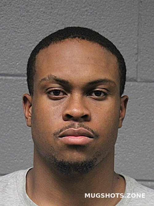 DAVID J STEWART 04/21/2025 - Chicago Mugshots Zone