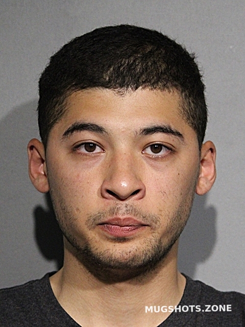 KEVIN R GAJEWSKI 04/21/2025 - Chicago Mugshots Zone