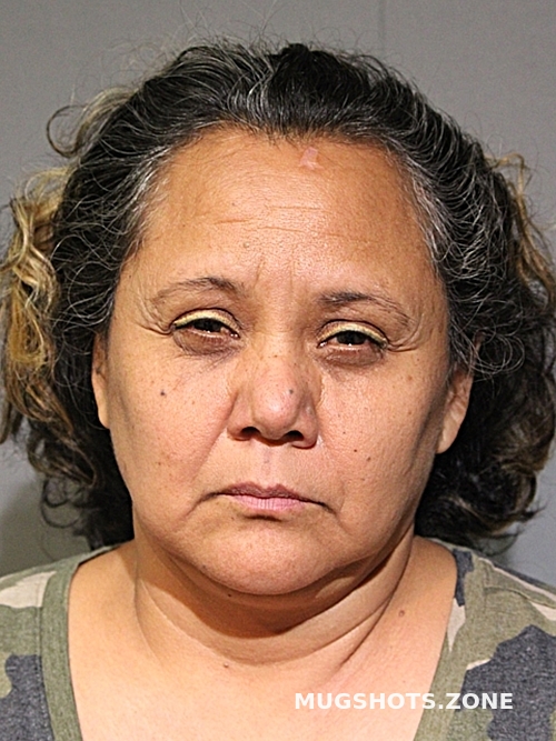 MARIA ANGELES RUIZ 04/21/2025 - Chicago Mugshots Zone
