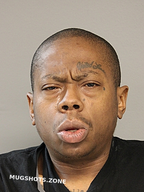 ROSS E TINSON 04/21/2025 - Chicago Mugshots Zone