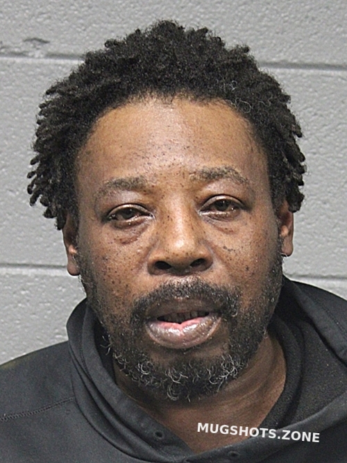 LINZY VILVUNNO 04/22/2025 - Chicago Mugshots Zone