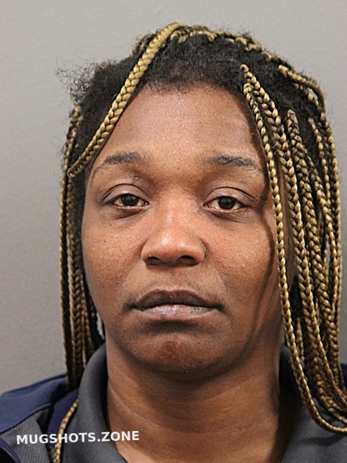 BARBARA L KING 04/22/2025 - Chicago Mugshots Zone