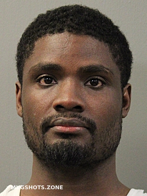 DAVID S MARTIN 04/22/2025 - Chicago Mugshots Zone