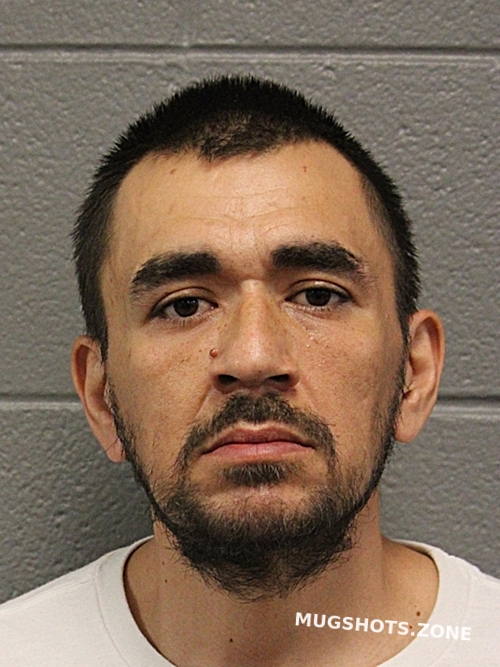 PABLO REYES 04/24/2025 - Chicago Mugshots Zone