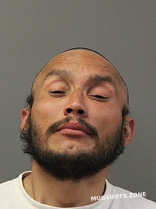 ALLAN RODRIGUEZ 04/24/2025 - Chicago Mugshots Zone