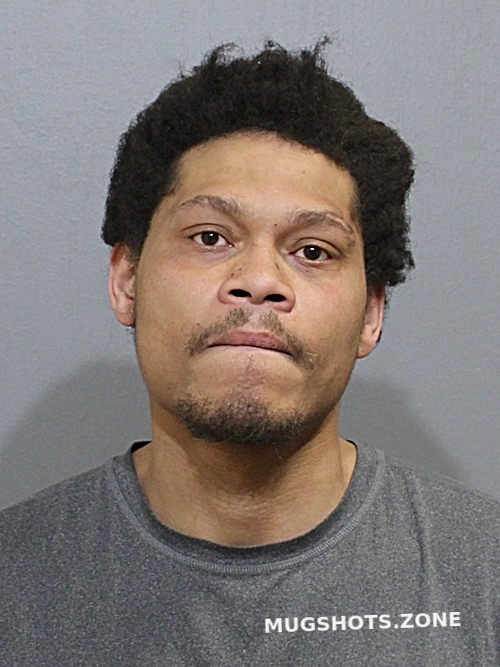 DAVID A FRANKLIN 04/25/2025 - Chicago Mugshots Zone