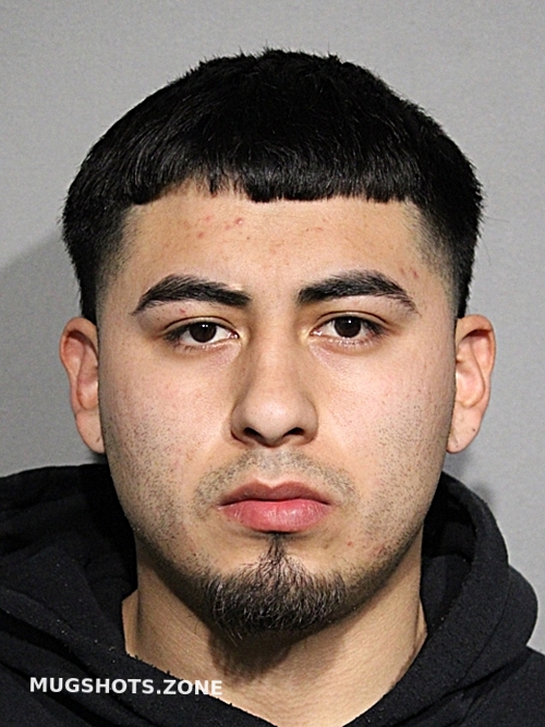 EDWIN A GALVAN-ESPINOSA 04/25/2025 - Chicago Mugshots Zone