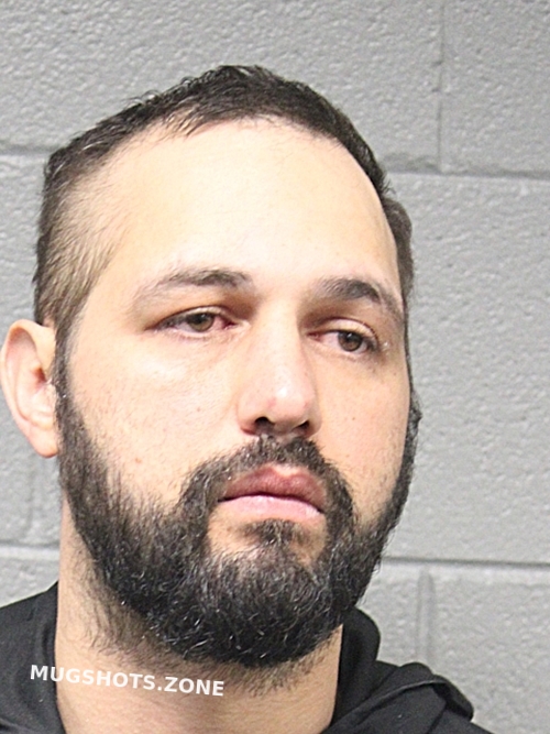 MATTHEW J WILLIAMS 04/25/2025 - Chicago Mugshots Zone