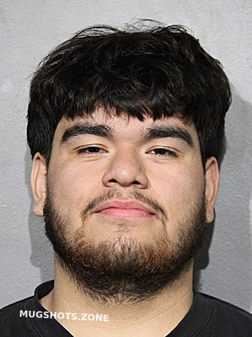 RAUL E RAMIREZ 04/26/2025 - Chicago Mugshots Zone