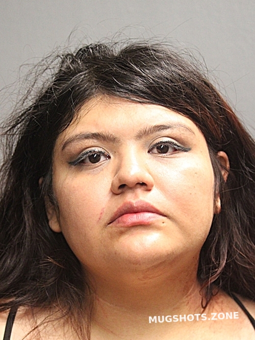 ZULLY MICHELLE SOTELO 04/26/2025 - Chicago Mugshots Zone