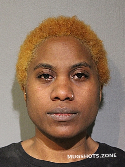 ARIEL A LANDON 04/27/2025 - Chicago Mugshots Zone