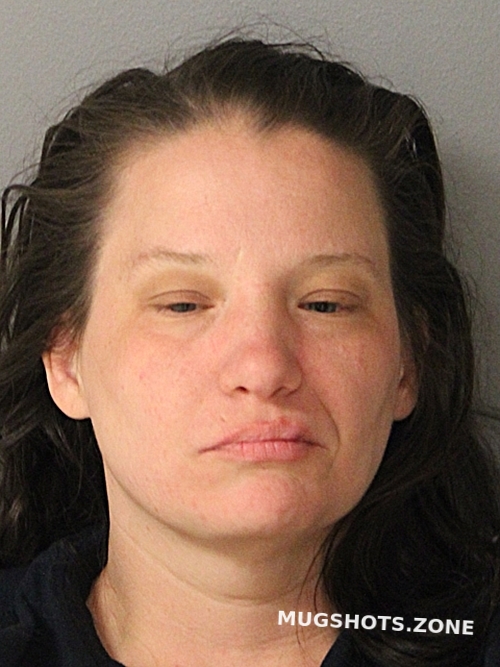 ANNA M LONG 04/27/2025 - Chicago Mugshots Zone