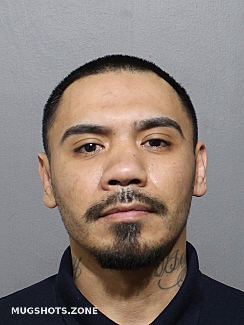 MICHAEL A RODRIGUEZ 04/29/2025 - Chicago Mugshots Zone