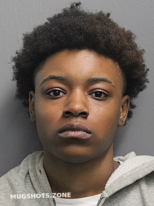 DESTINY C WILLIAMS 04/29/2025 - Chicago Mugshots Zone