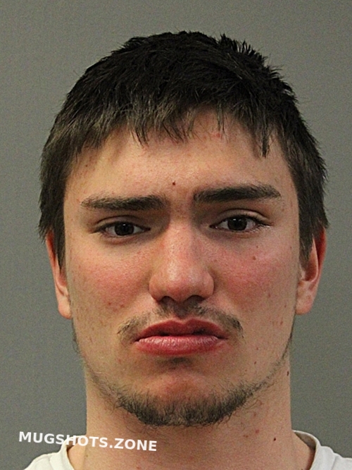 WILLIAM R MCINTEE 04/29/2025 - Chicago Mugshots Zone