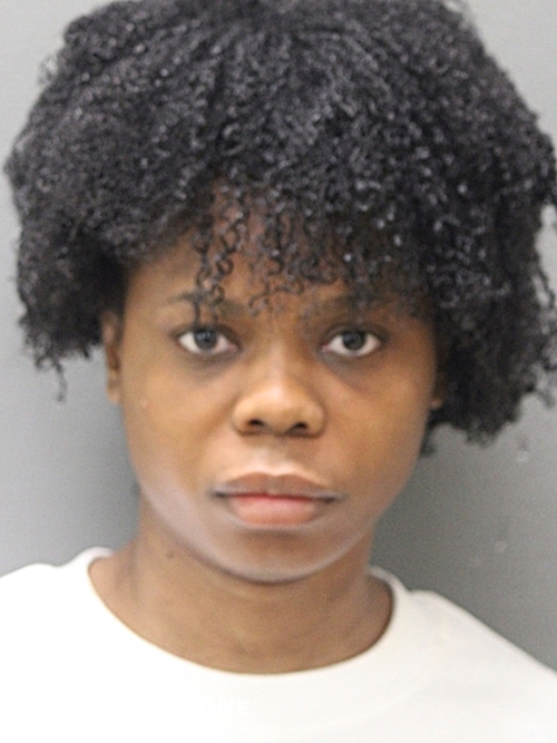 JEAN WHITE 04/30/2025 - Chicago Mugshots Zone