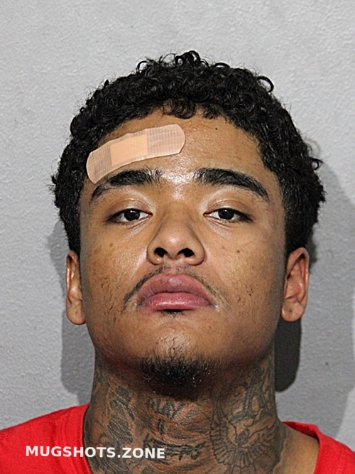DIONTE N COLEMAN 04/30/2025 - Chicago Mugshots Zone