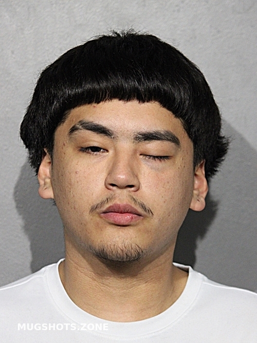 JONATHAN RODRIGUEZ 04/30/2025 - Chicago Mugshots Zone