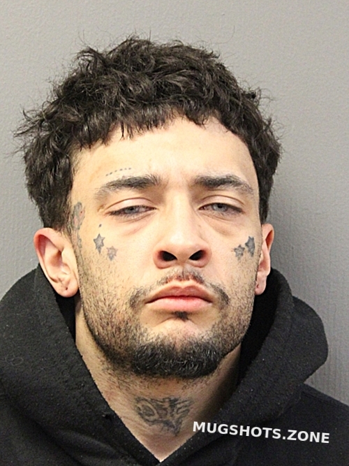 JUSTIN JAY TURLEY 04/30/2025 - Chicago Mugshots Zone