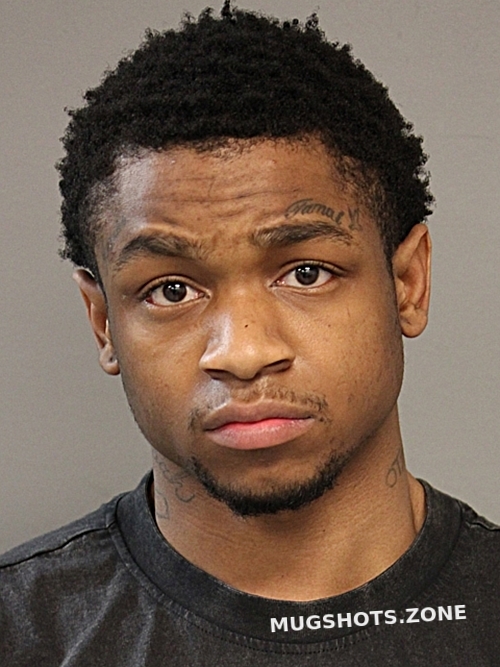 REGINALD L EDWARDS 05/02/2025 - Chicago Mugshots Zone