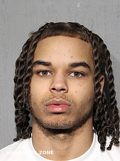 STEPHEN E THOMAS 05/02/2025 - Chicago Mugshots Zone