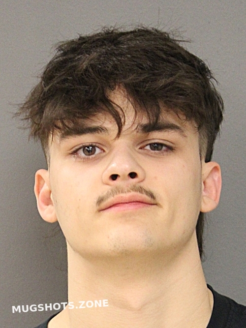 LANDON JOSEPH-SCOTT DAVIDSON 05/02/2025 - Chicago Mugshots Zone