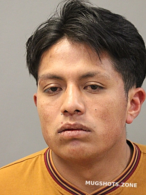 ALEX VINICIO GAVILANEZ- AYALA 05/04/2025 - Chicago Mugshots Zone
