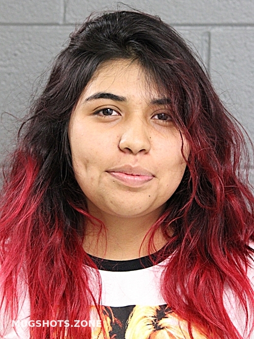 DAISY SANCHEZ 05/06/2025 - Chicago Mugshots Zone