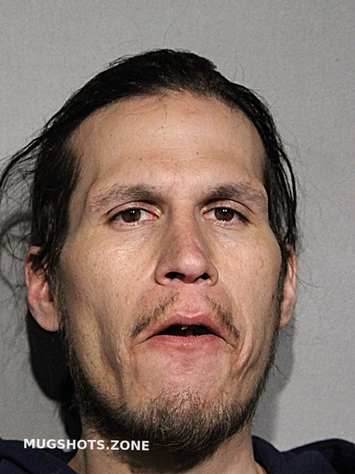 DAVID J GURNEAU 05/07/2025 - Chicago Mugshots Zone