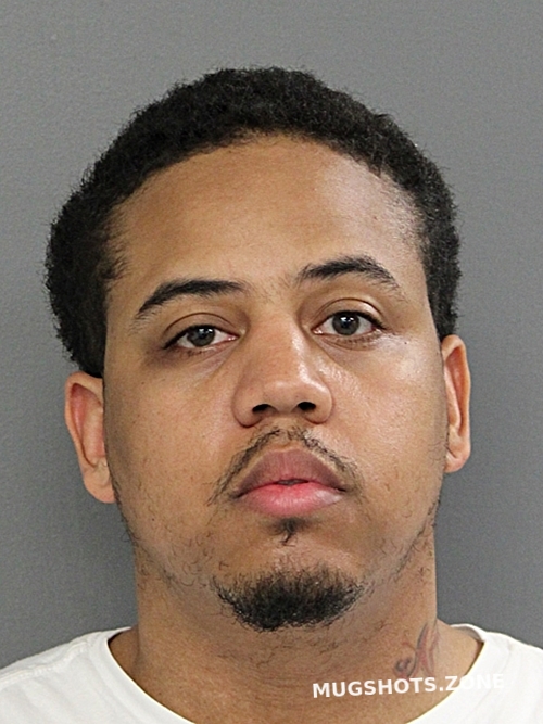 STEVEN A AGEE 05/07/2025 - Chicago Mugshots Zone