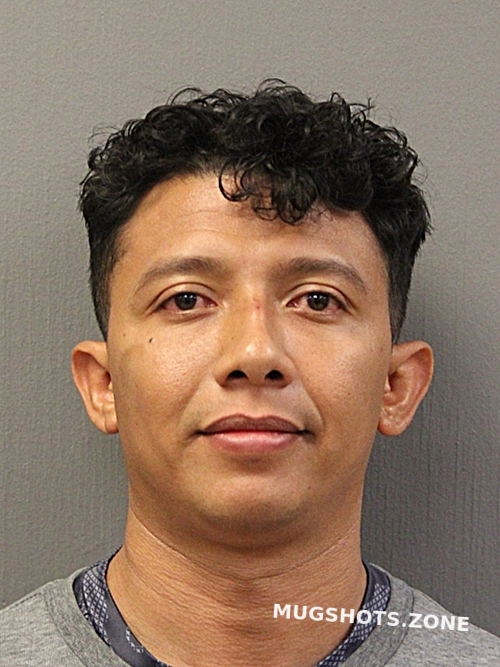 ALEXIS ORTIZ SALGADO 05/08/2025 - Chicago Mugshots Zone