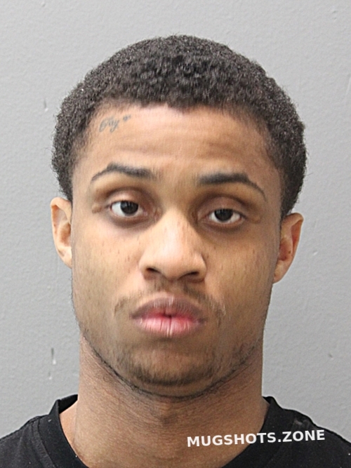 JAMES ALLEN PATTERSON 05/11/2025 - Chicago Mugshots Zone