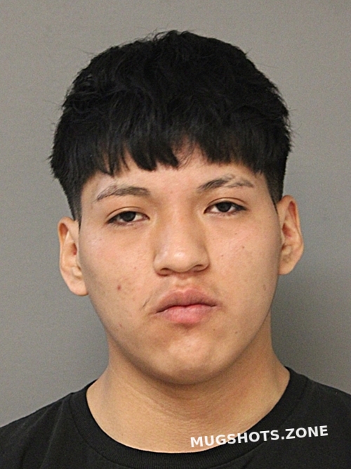 DIEGO ARMANDO GUAMAN NAULA 05/11/2025 - Chicago Mugshots Zone