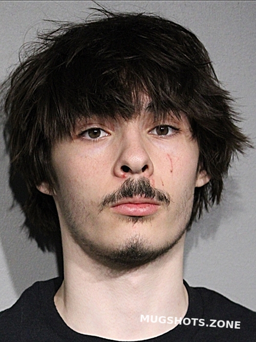 DANILO PEJOVIC 05/12/2025 - Chicago Mugshots Zone