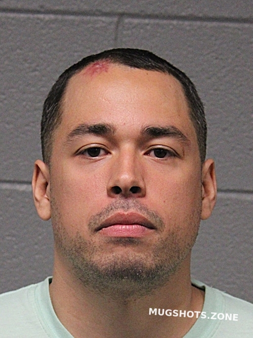 CHRISTOPHER GRAY 05/12/2025 - Chicago Mugshots Zone