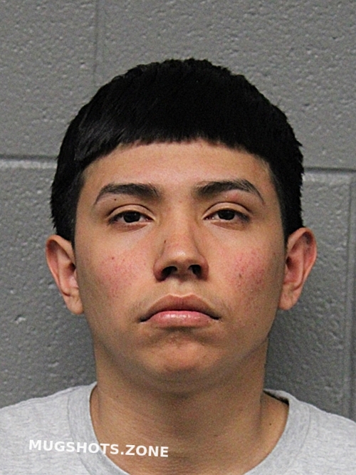 ADAN LUNA 05/14/2025 - Chicago Mugshots Zone