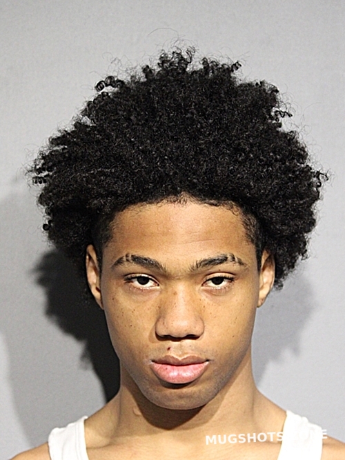 TIMOTHY T WILLIAMS 05/16/2025 - Chicago Mugshots Zone
