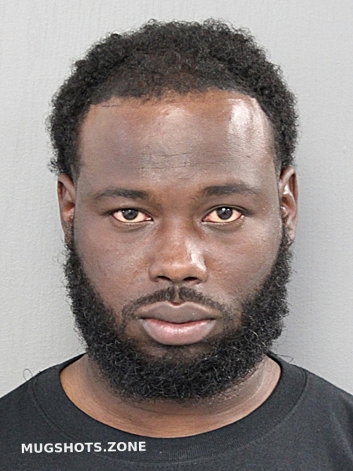 RISHONE L RASPBERRY 05/16/2025 - Chicago Mugshots Zone