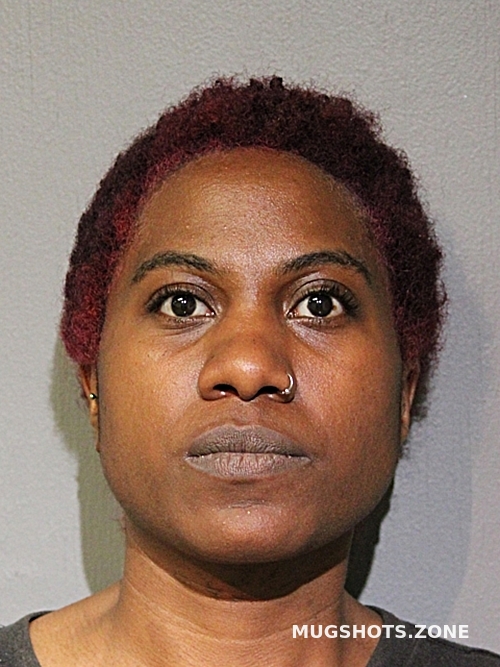 ARIEL A LANDON 05/17/2025 - Chicago Mugshots Zone