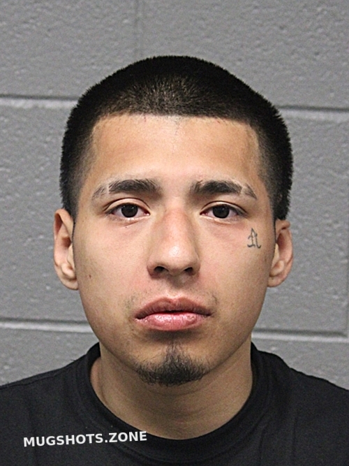 RENE ACUNA 05/19/2025 - Chicago Mugshots Zone