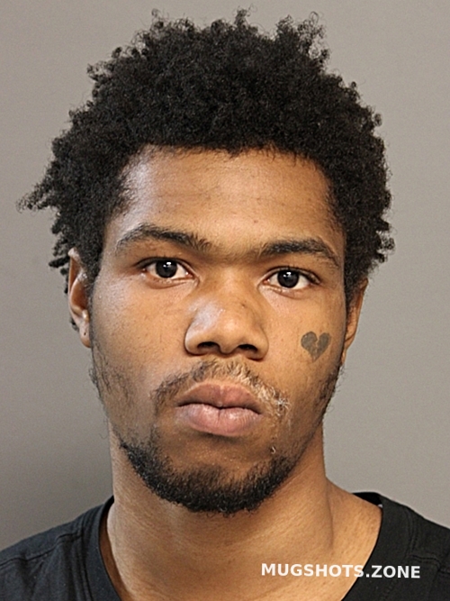 JORDAN L LITTLE 05/20/2025 - Chicago Mugshots Zone