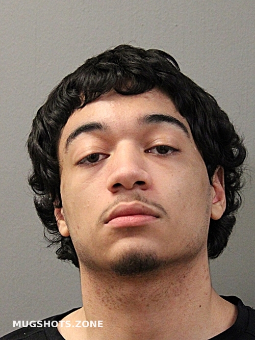 DEVIN RAIDEN ROLDAN-BROSSETT 05/22/2025 - Chicago Mugshots Zone