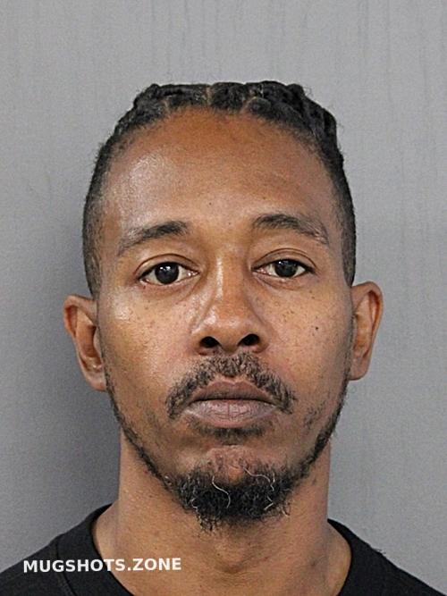 GEORGE EB CUNNINGHAM 05/23/2025 - Chicago Mugshots Zone