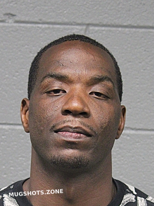 MICHAEL BOGAN 05/24/2025 - Chicago Mugshots Zone