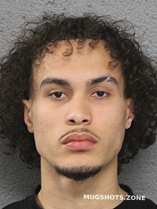 BRAIDEN STONEWALL 05/24/2025 - Chicago Mugshots Zone