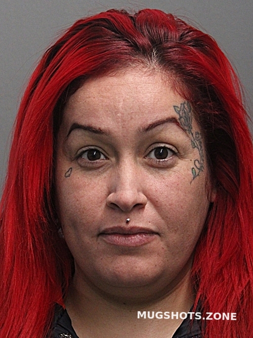 STEPHANIE GALARZA 05/24/2025 - Chicago Mugshots Zone