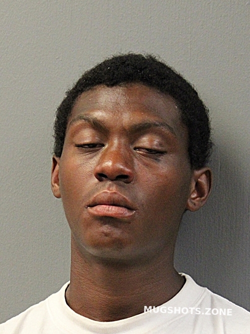 DEREK L LEE 05/24/2025 - Chicago Mugshots Zone