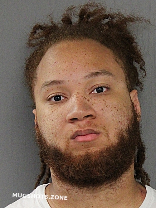 DEANDRE C WILLIAMS 05/25/2025 - Chicago Mugshots Zone