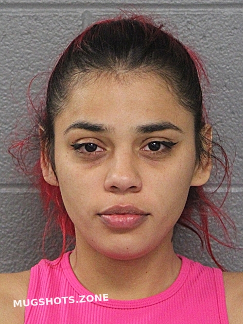PRISCILLA ELIZABETH TAYLOR 05/26/2025 - Chicago Mugshots Zone